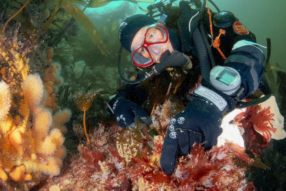 Voices for Kelp — Lewis Pugh Foundation