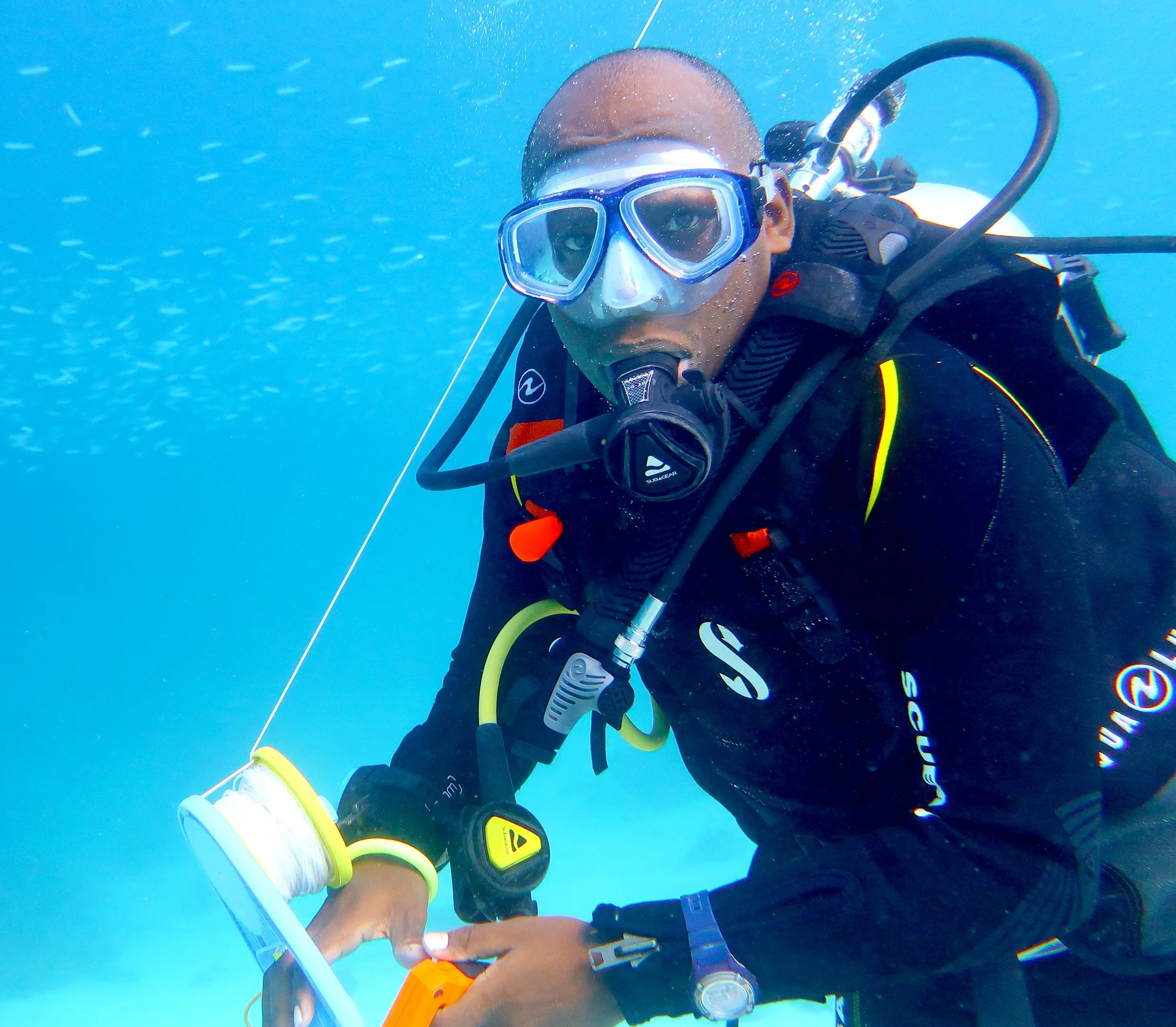 Coral Champions — Lewis Pugh Foundation