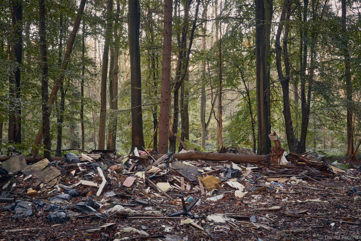 The Blight of the Countryside in Hertfordshire, England — DANIEL PECENA