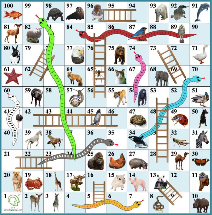 Our Flashcard Games — Linguacious®