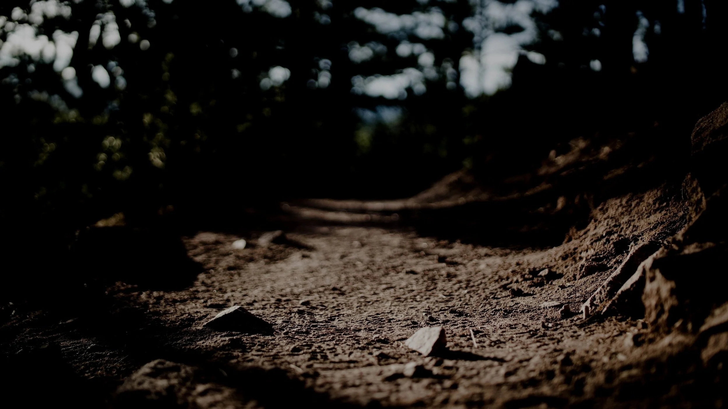 Loop Connector Shuttle