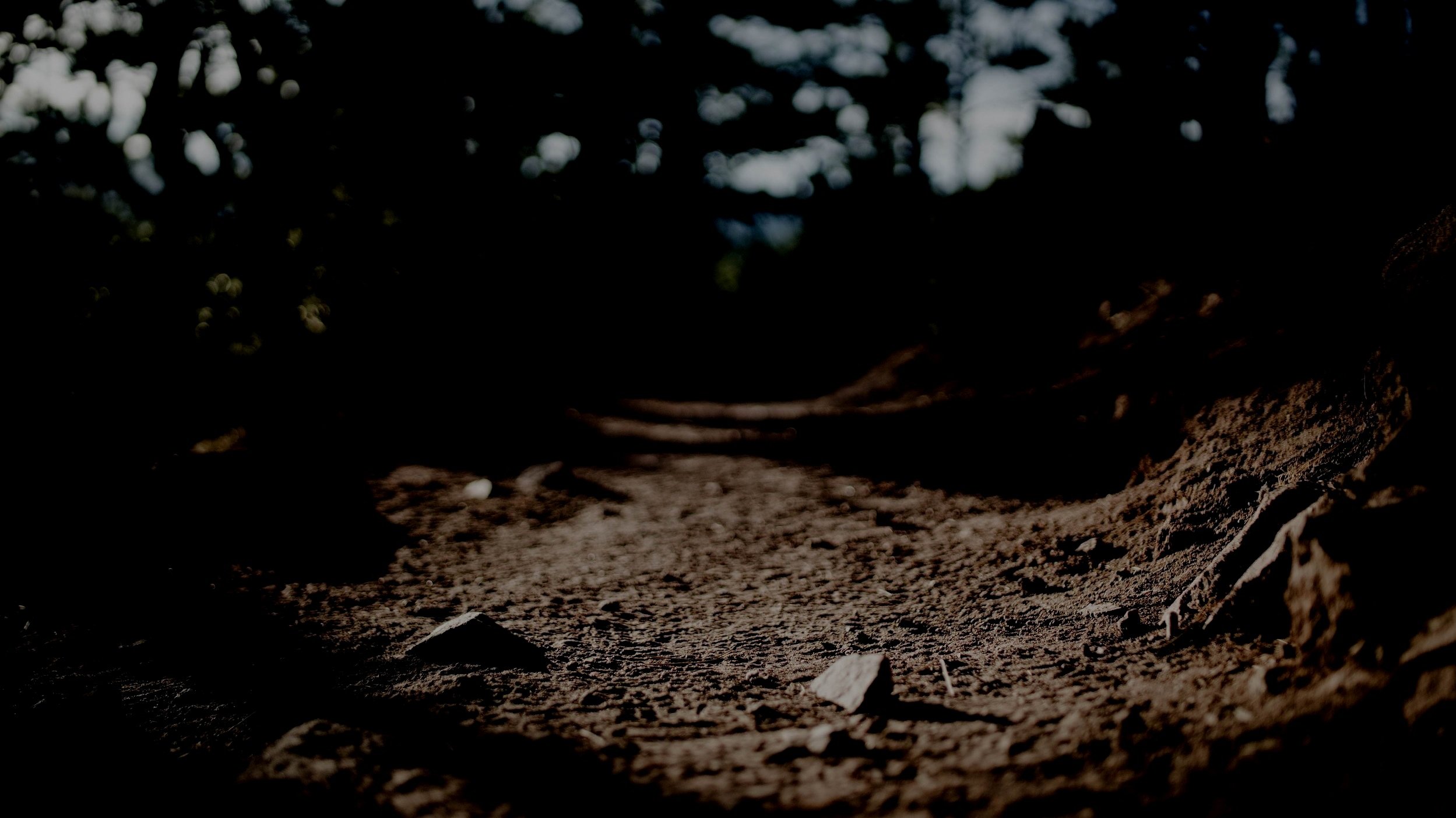 Loop Connector Shuttle