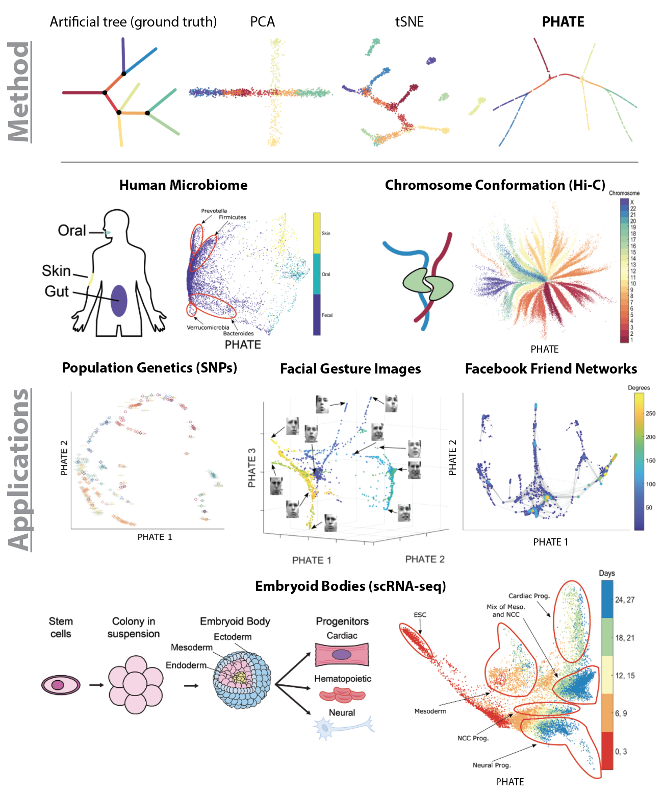 PHATE — Krishnaswamy Lab
