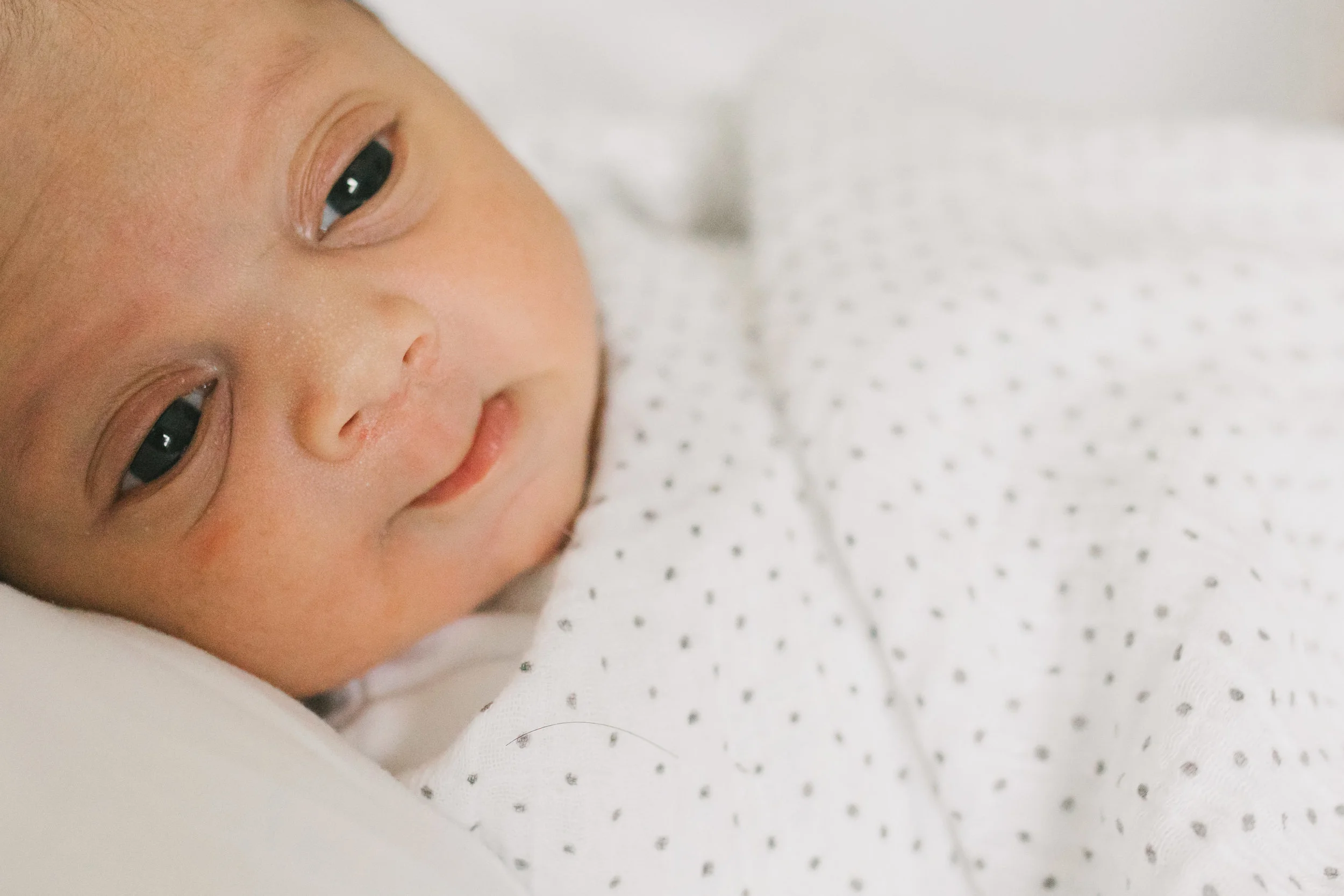 Baby Gabriel Best Thing Ever: An Adoption Story and Newborn Photos ...