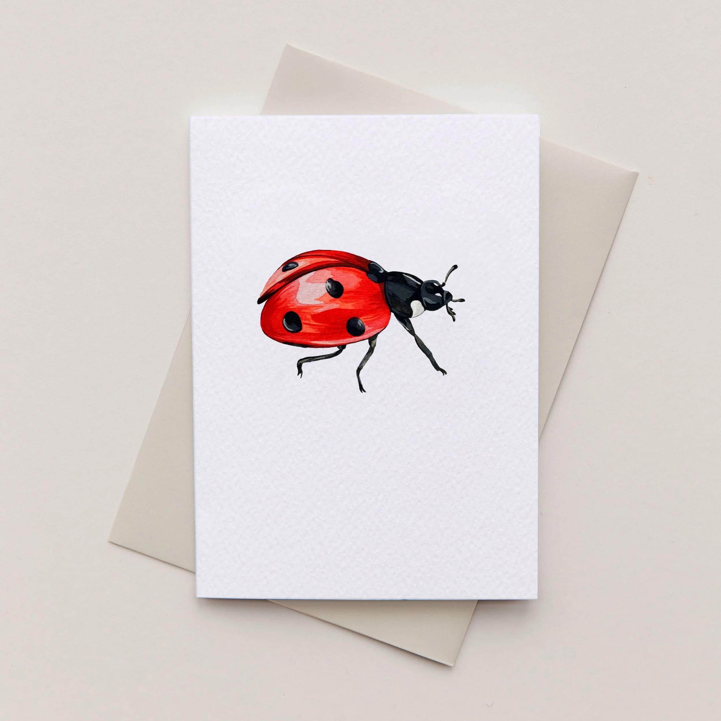 Ladybird Greetings Card — Sophie Brabbins