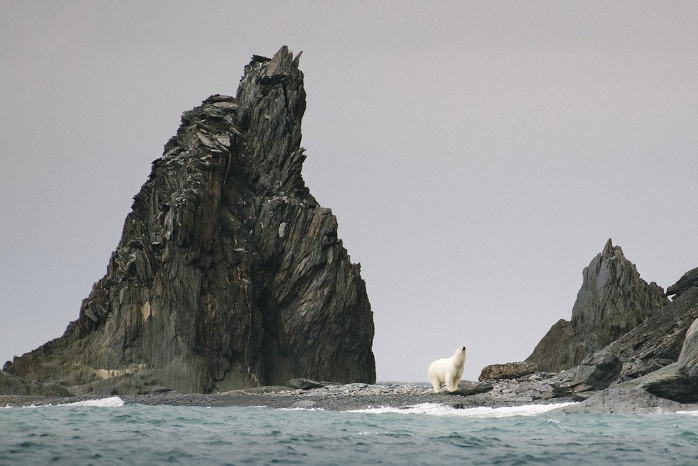 Herald Island