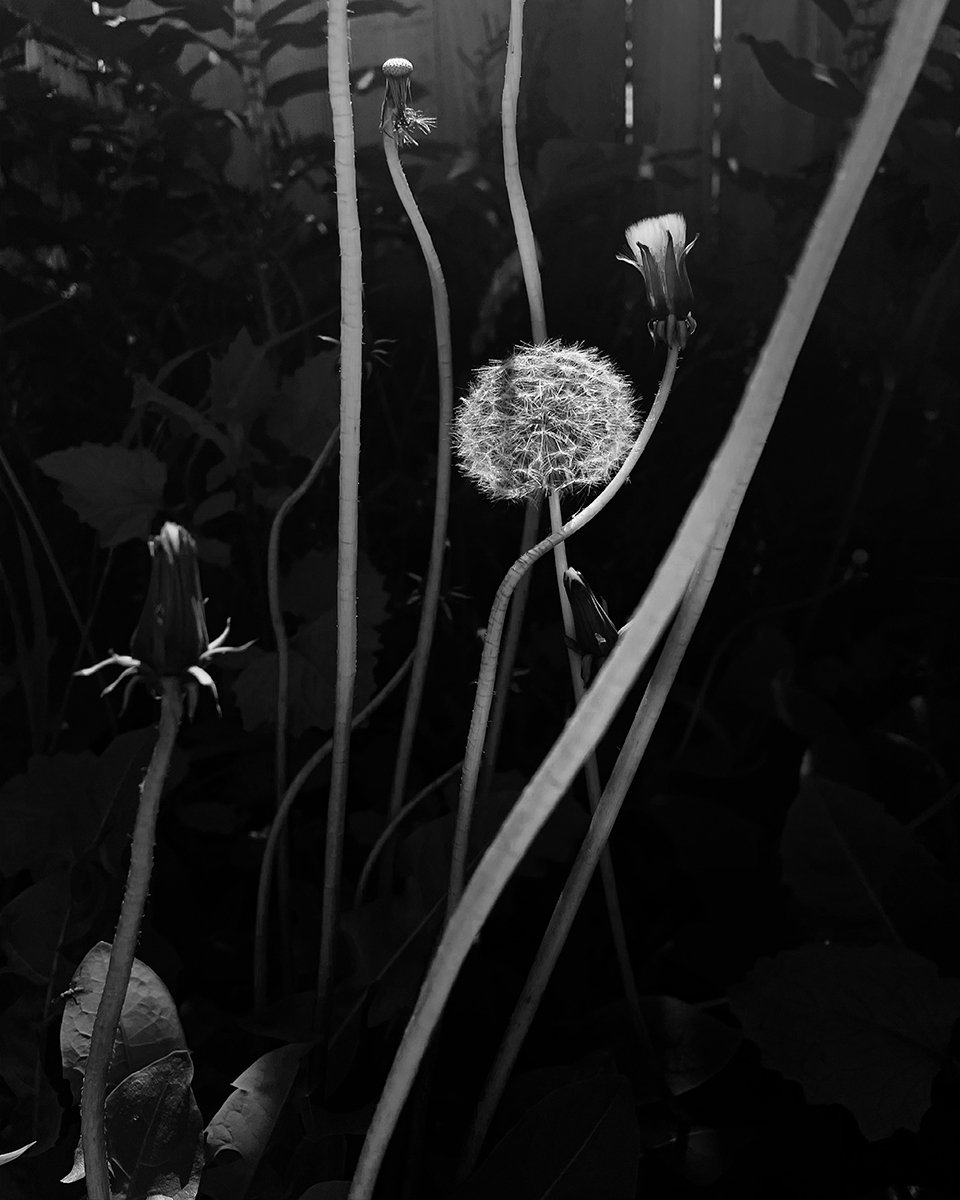 Jon Feinstein — Blue Sky, Oregon Center for the Photographic Arts