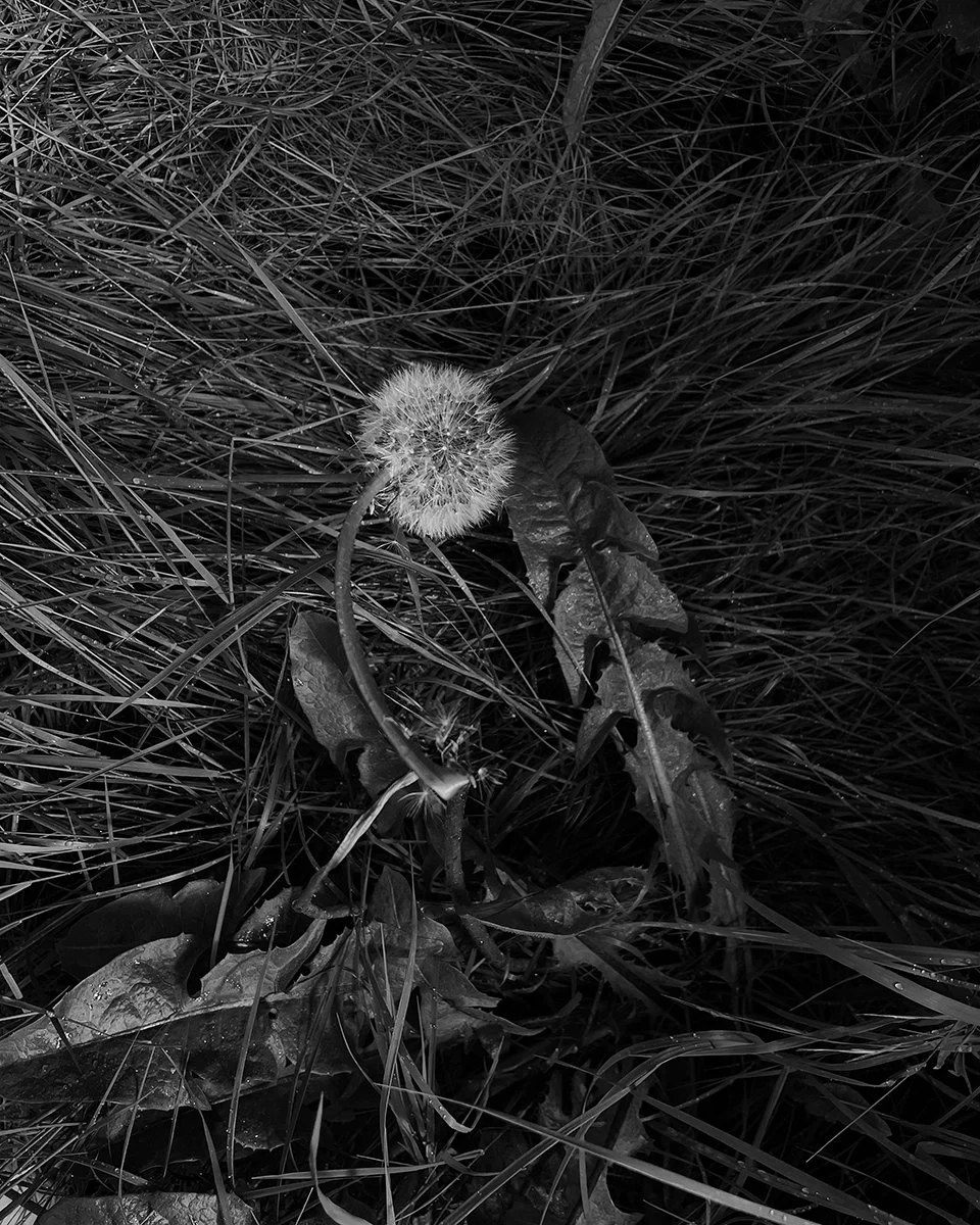 Jon Feinstein — Blue Sky, Oregon Center for the Photographic Arts