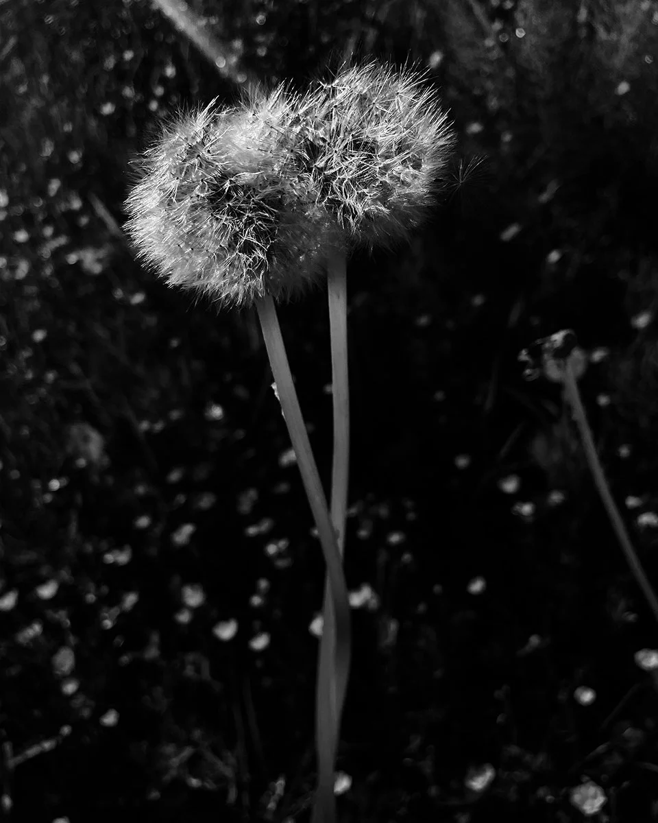 Jon Feinstein — Blue Sky, Oregon Center for the Photographic Arts