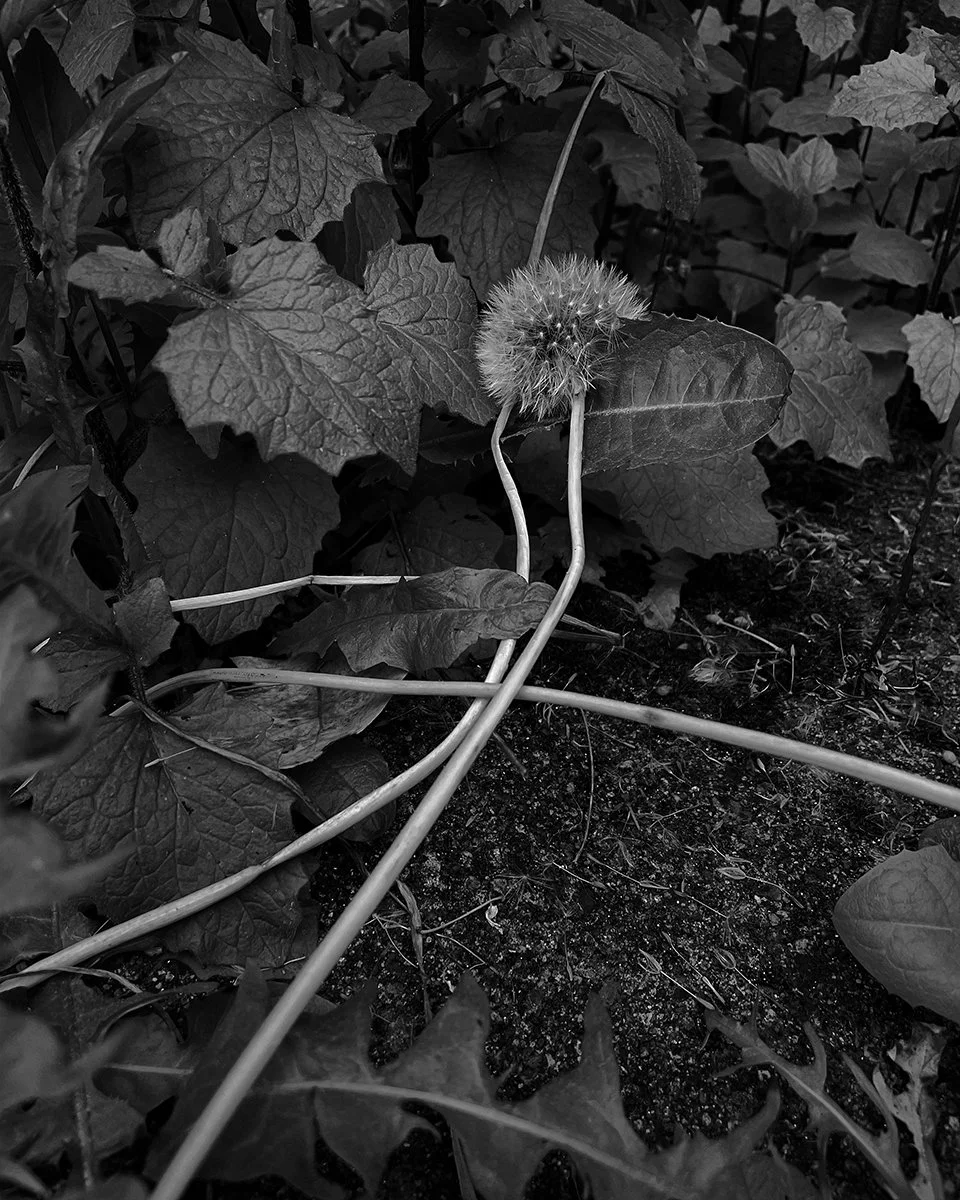 Jon Feinstein — Blue Sky, Oregon Center for the Photographic Arts