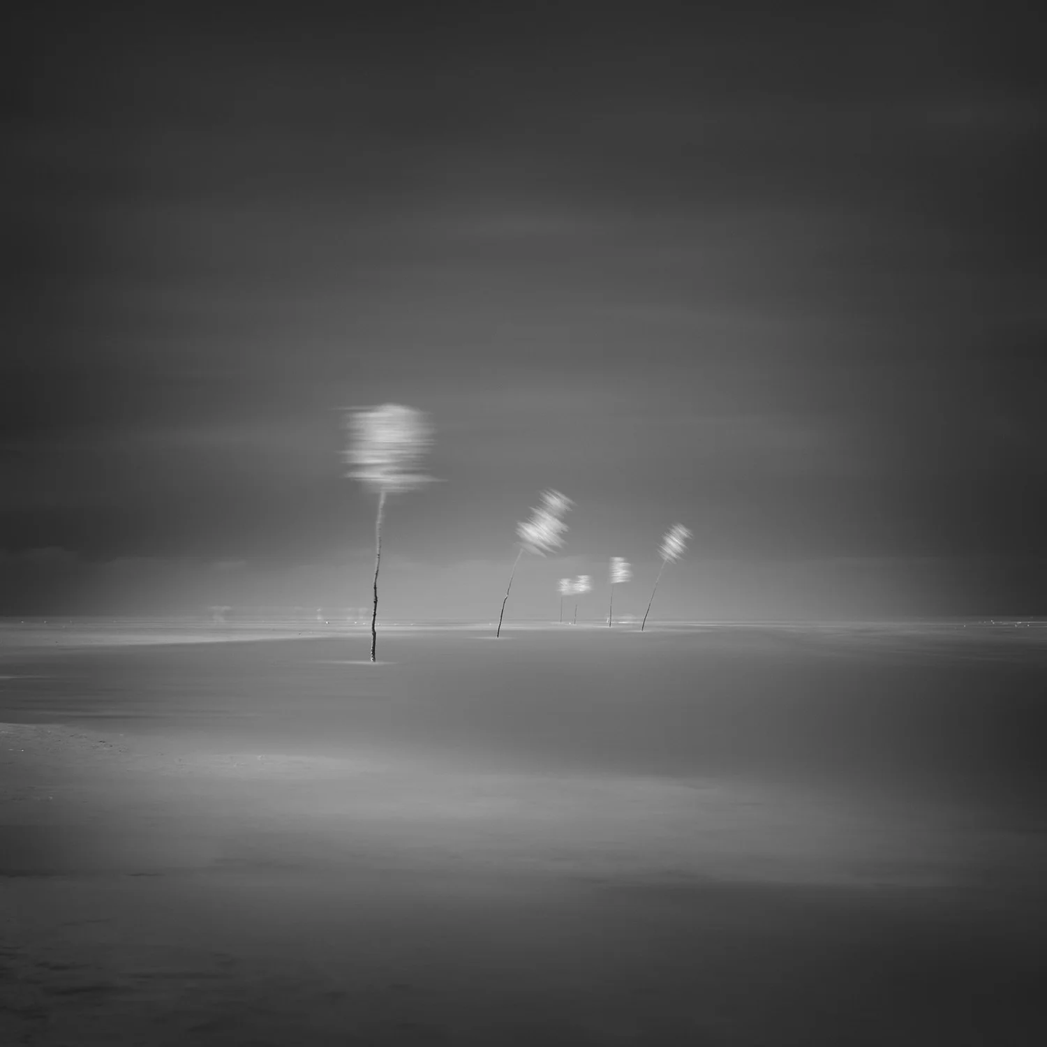 Thibault Roland — Blue Sky, Oregon Center for the Photographic Arts