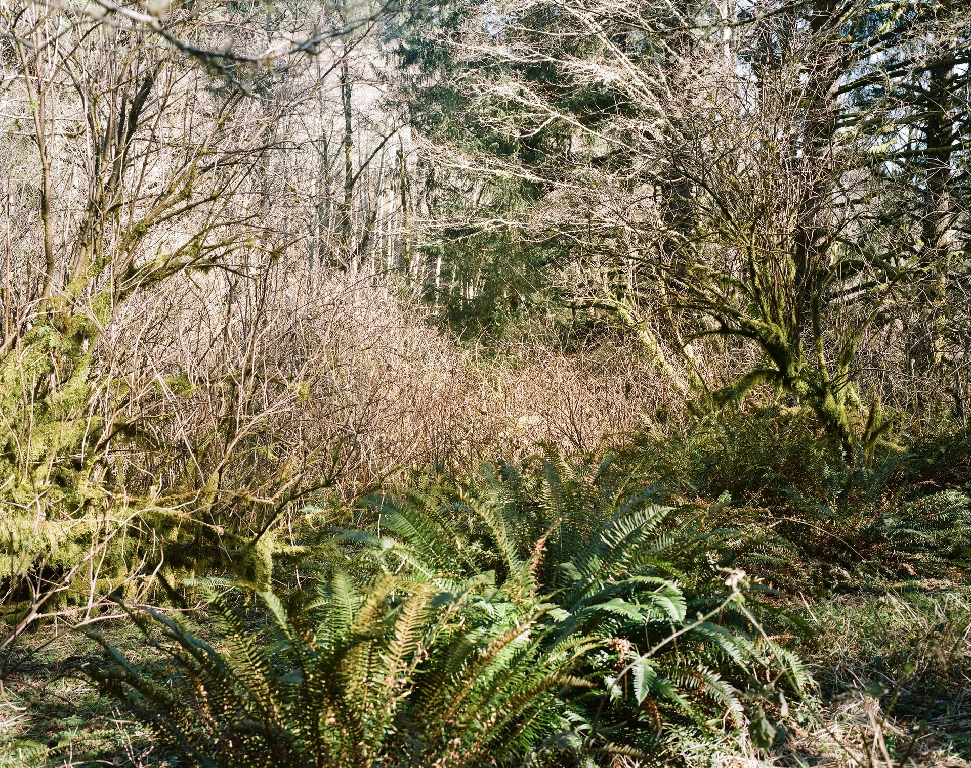 Liza Faktor — Blue Sky, Oregon Center for the Photographic Arts