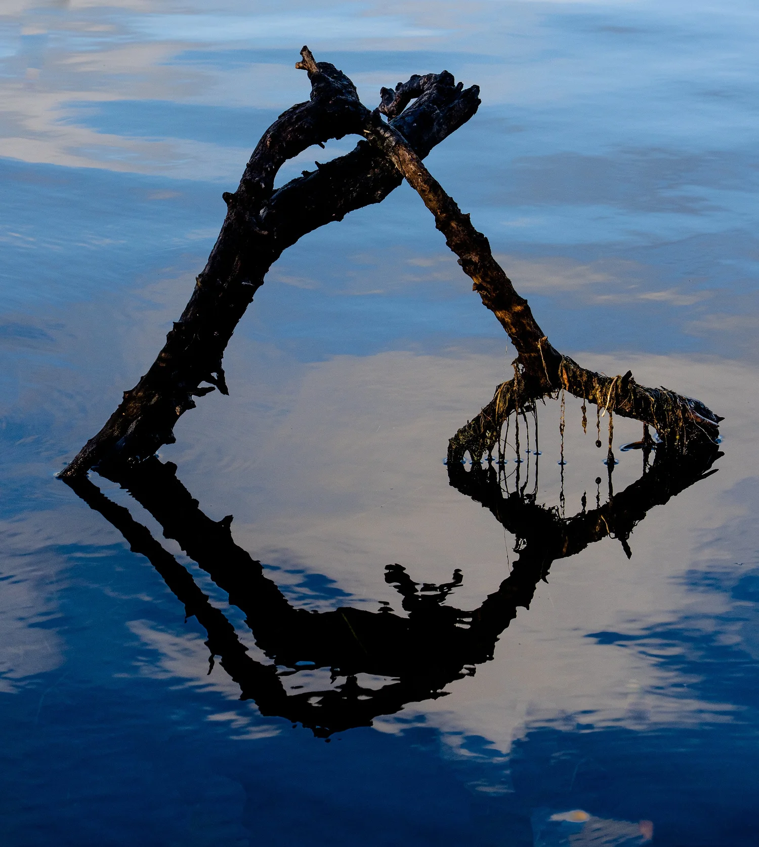 Alan Chait — Blue Sky, Oregon Center for the Photographic Arts