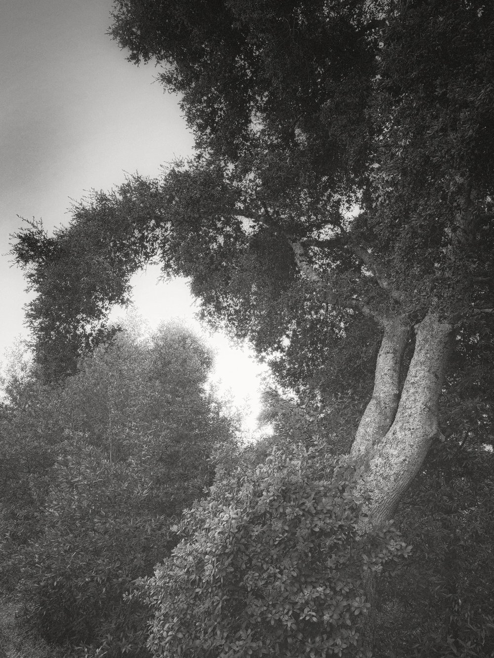 Megan Hatch — Blue Sky, Oregon Center for the Photographic Arts