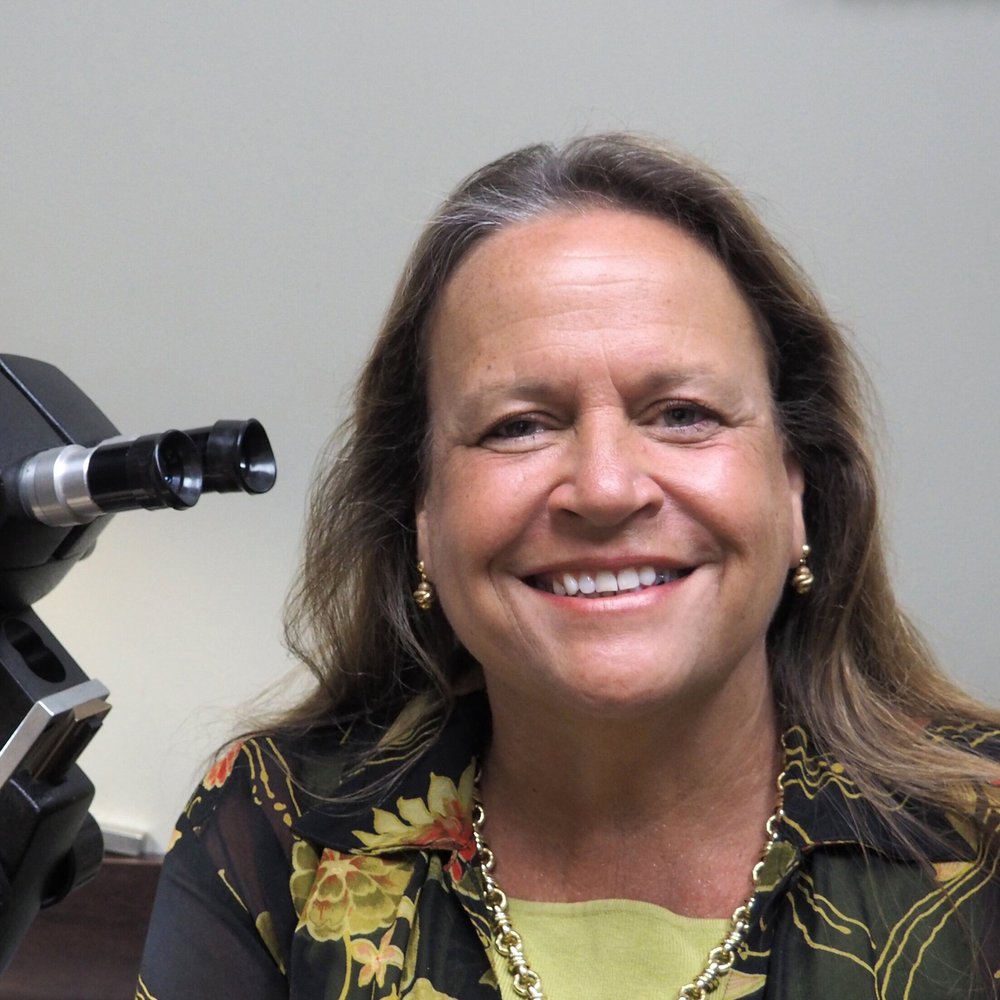 Arcadia Art Consultancy: About Us