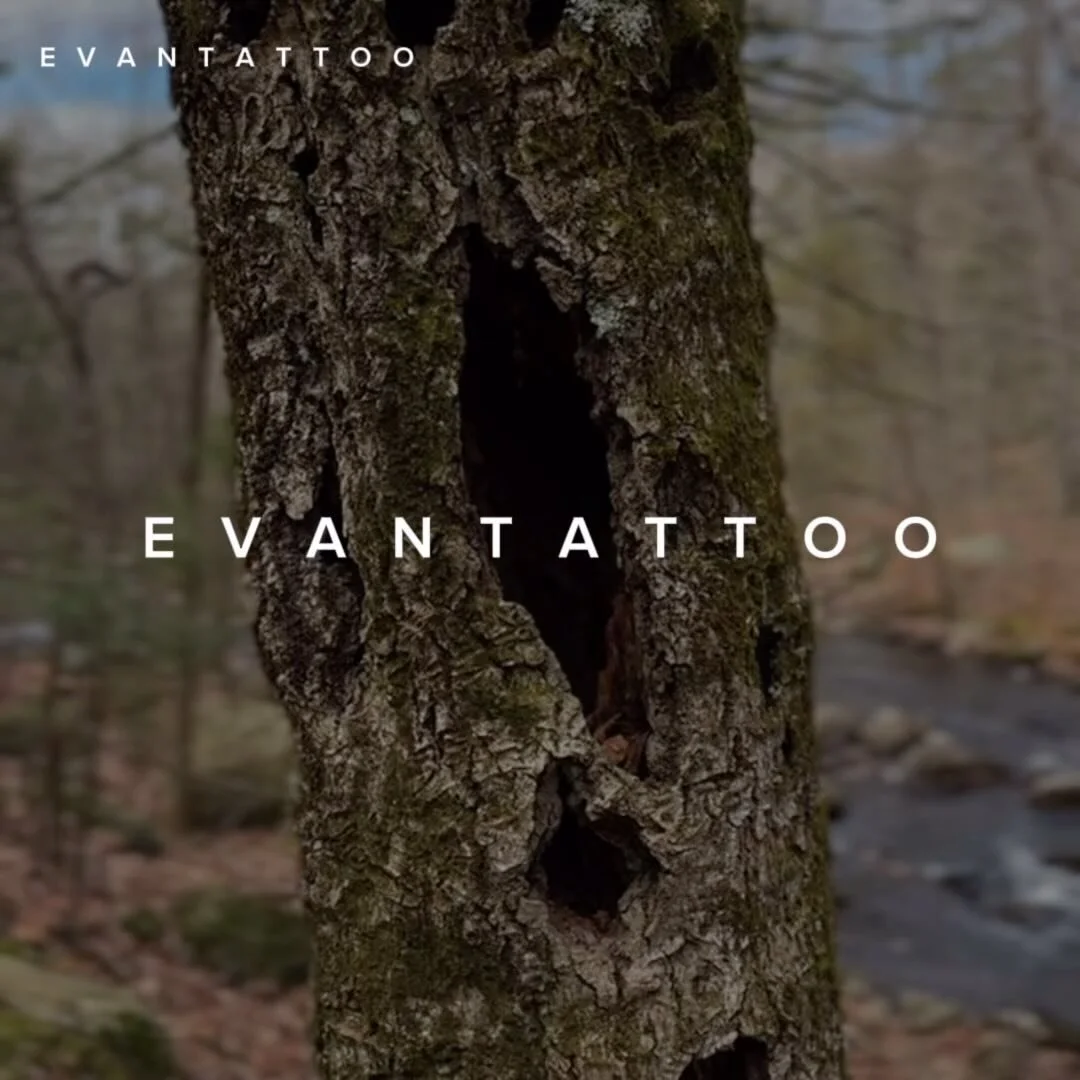 Work — Evan Tattoo