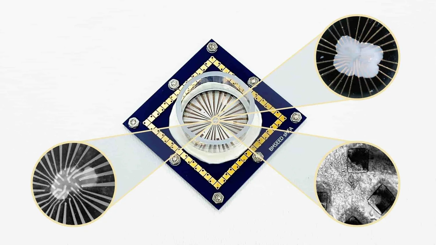 Discover the lowest cost microelectrode array system. mechanical stretching optical imaging ...