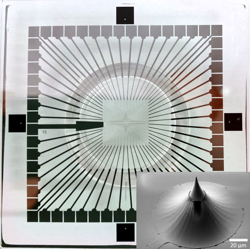 Glass Multielectrode Arrays (gMEAs) | BMSEED