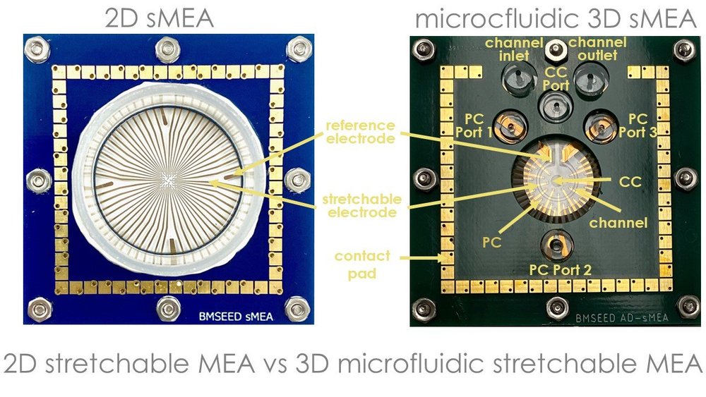 What is Microfluidics? | BMSEED