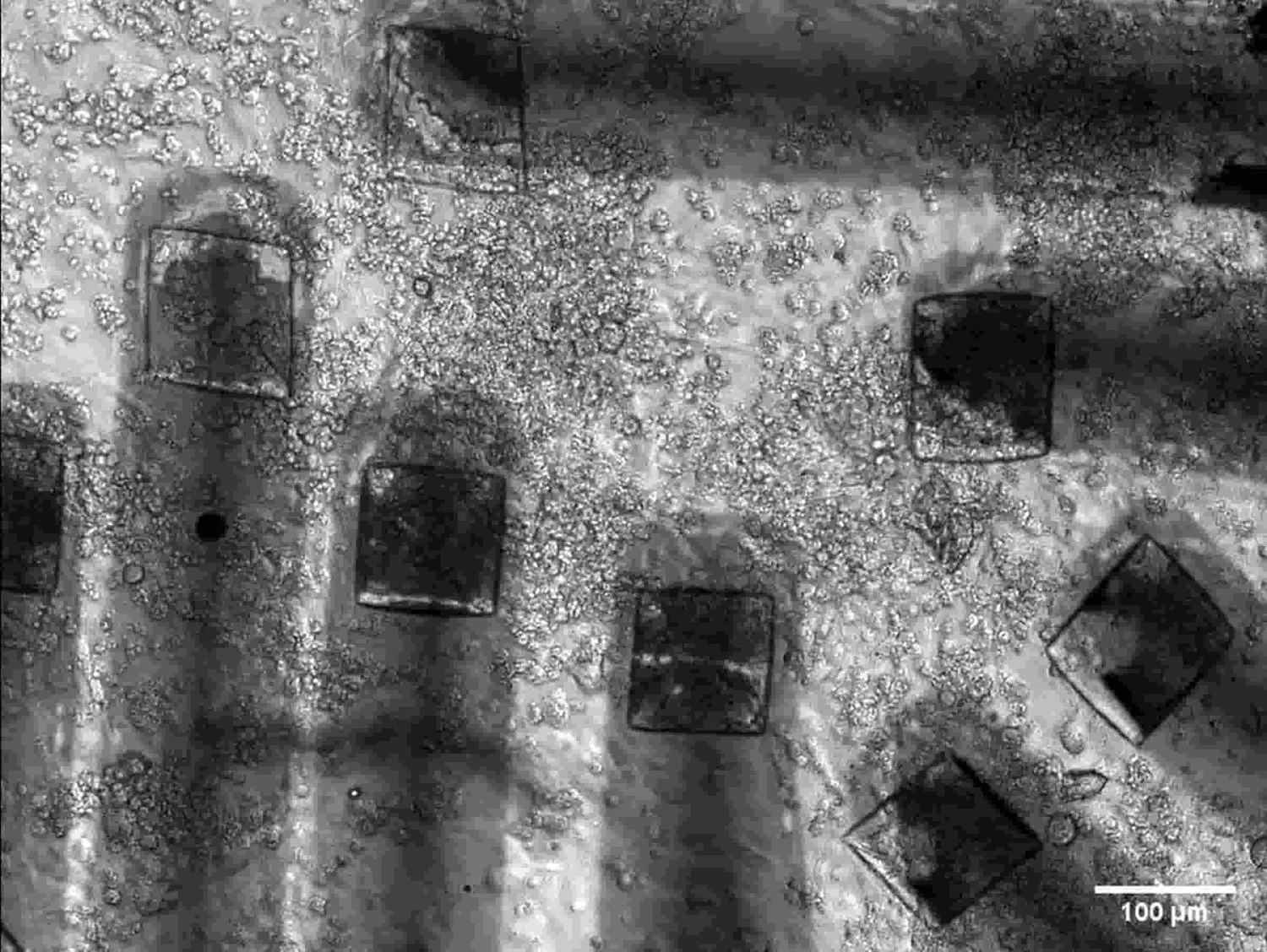 Discover the lowest cost microelectrode array system. mechanical ...