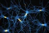 Neural Activity: The Basis of Brain Function — Stretchable ...