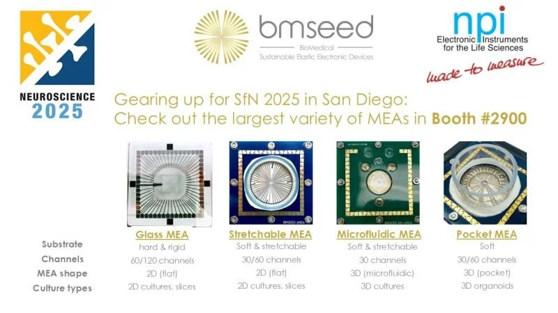BMSEED Exhibiting at SfN 2025 | BMSEED — Stretchable microelectrode ...