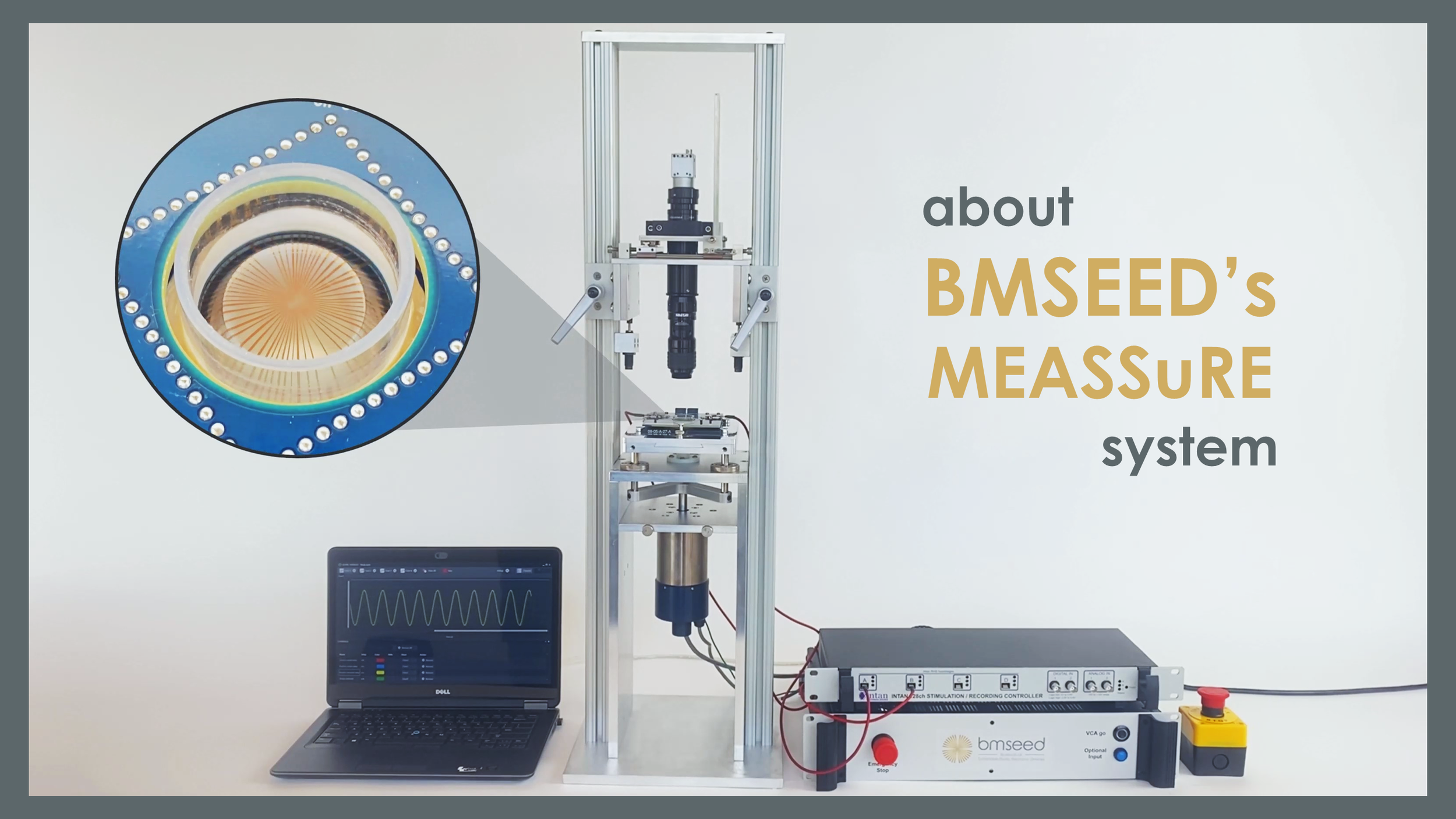 BMSEED | Integrated Biomechanics, Imaging, & Electrophysiology