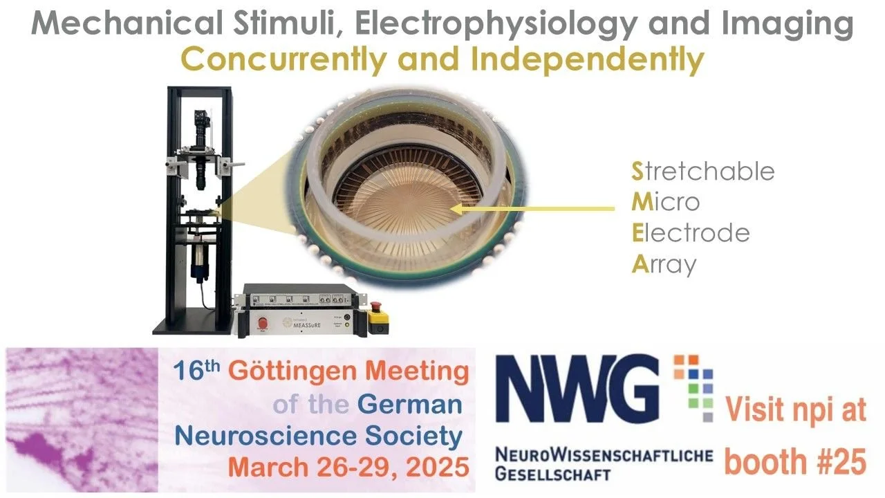 BMSEED at the Göttingen Neuroscience Meeting | BMSEED — Stretchable ...
