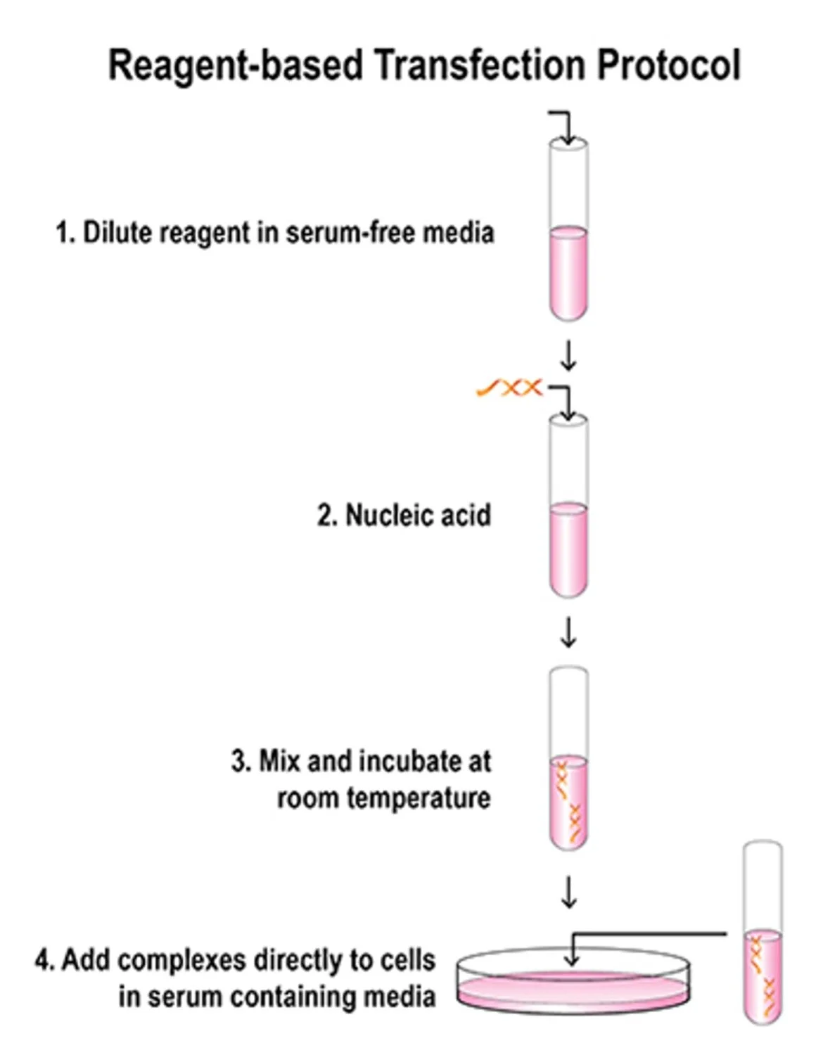 Transfection: A Deep Dive — Stretchable microelectrode arrays for in ...