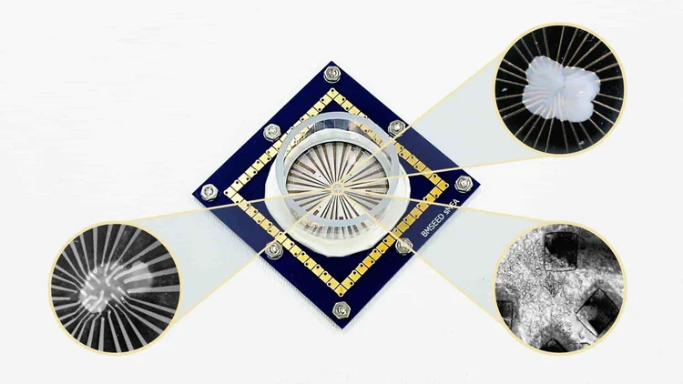 Multielectrode Array for In Vitro Research | BMSEED