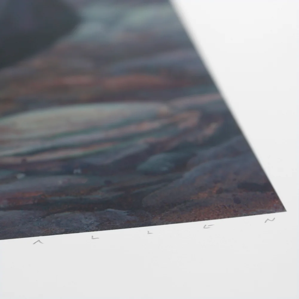 Shop — CRYPTID VISIONS