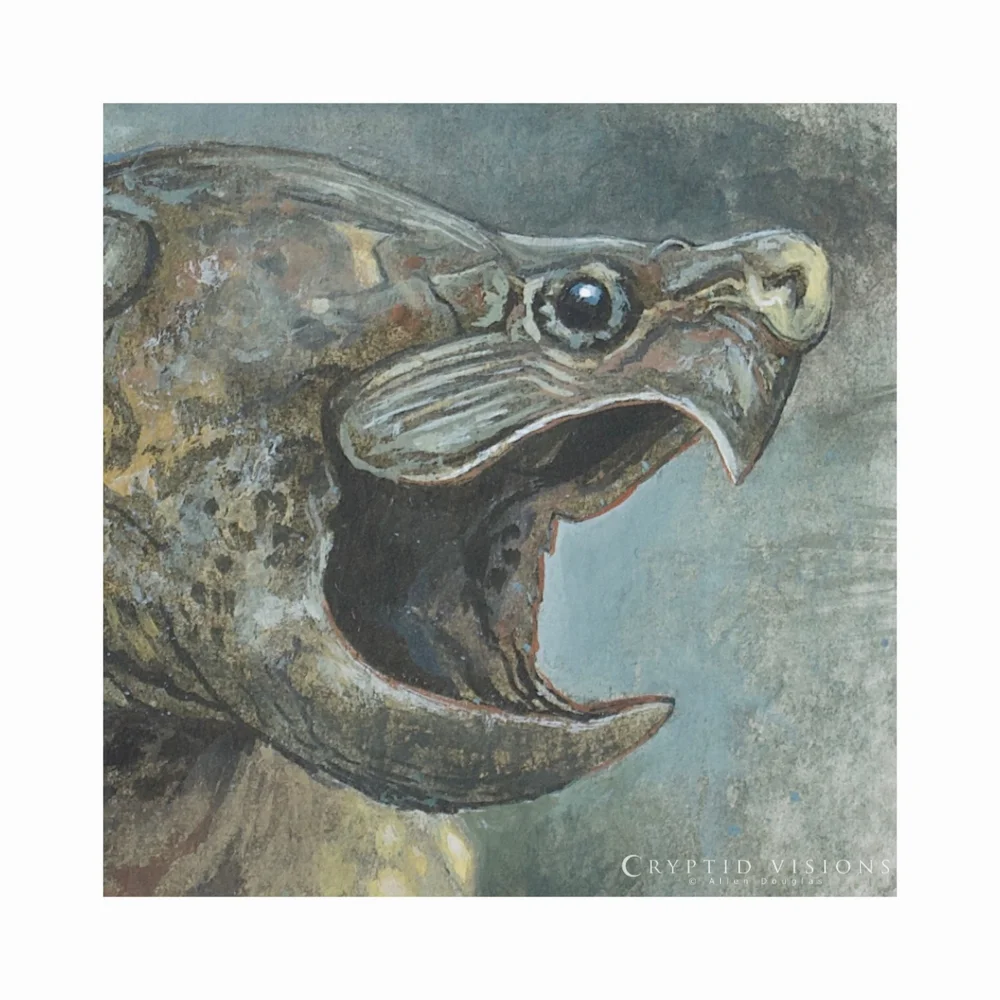 Snapping Turtle Art