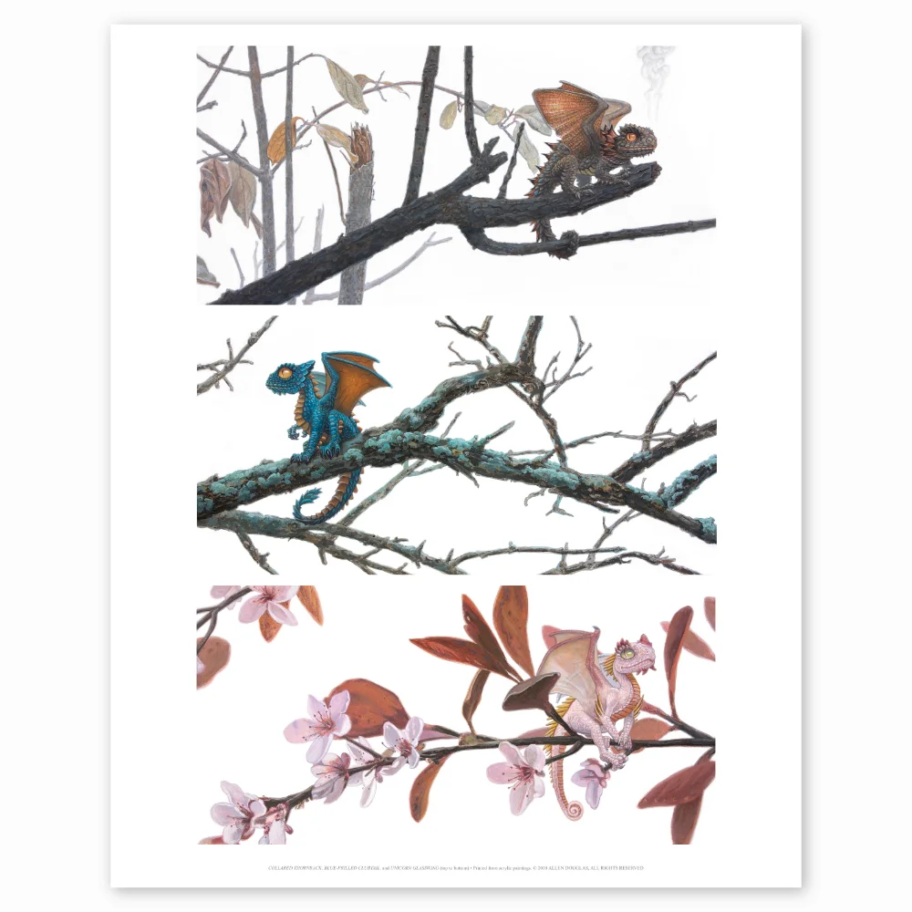 Shop — CRYPTID VISIONS