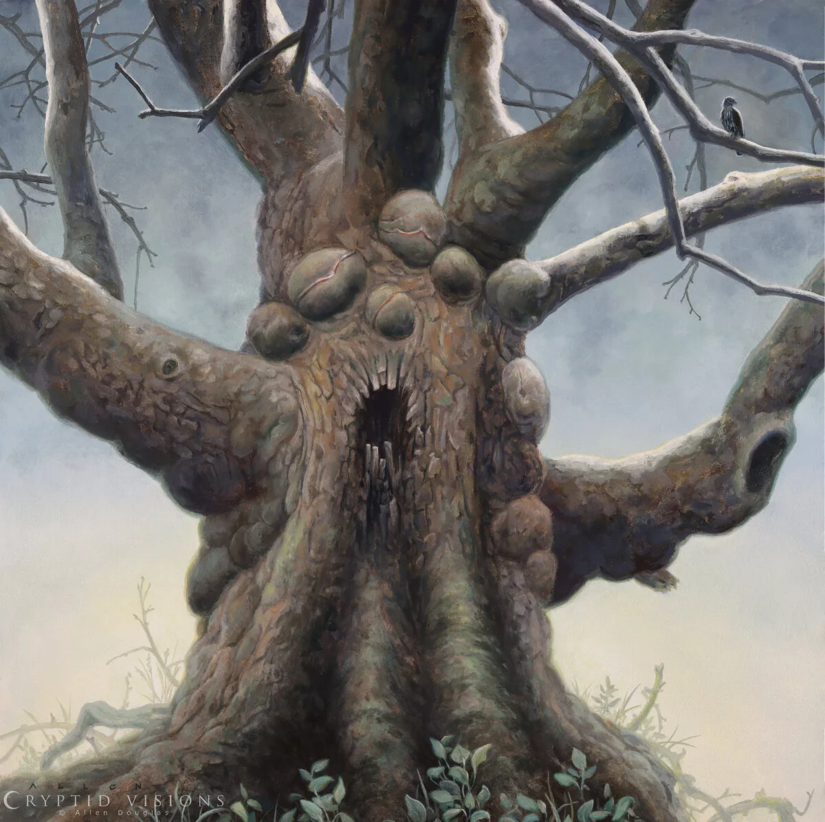 Shop — CRYPTID VISIONS