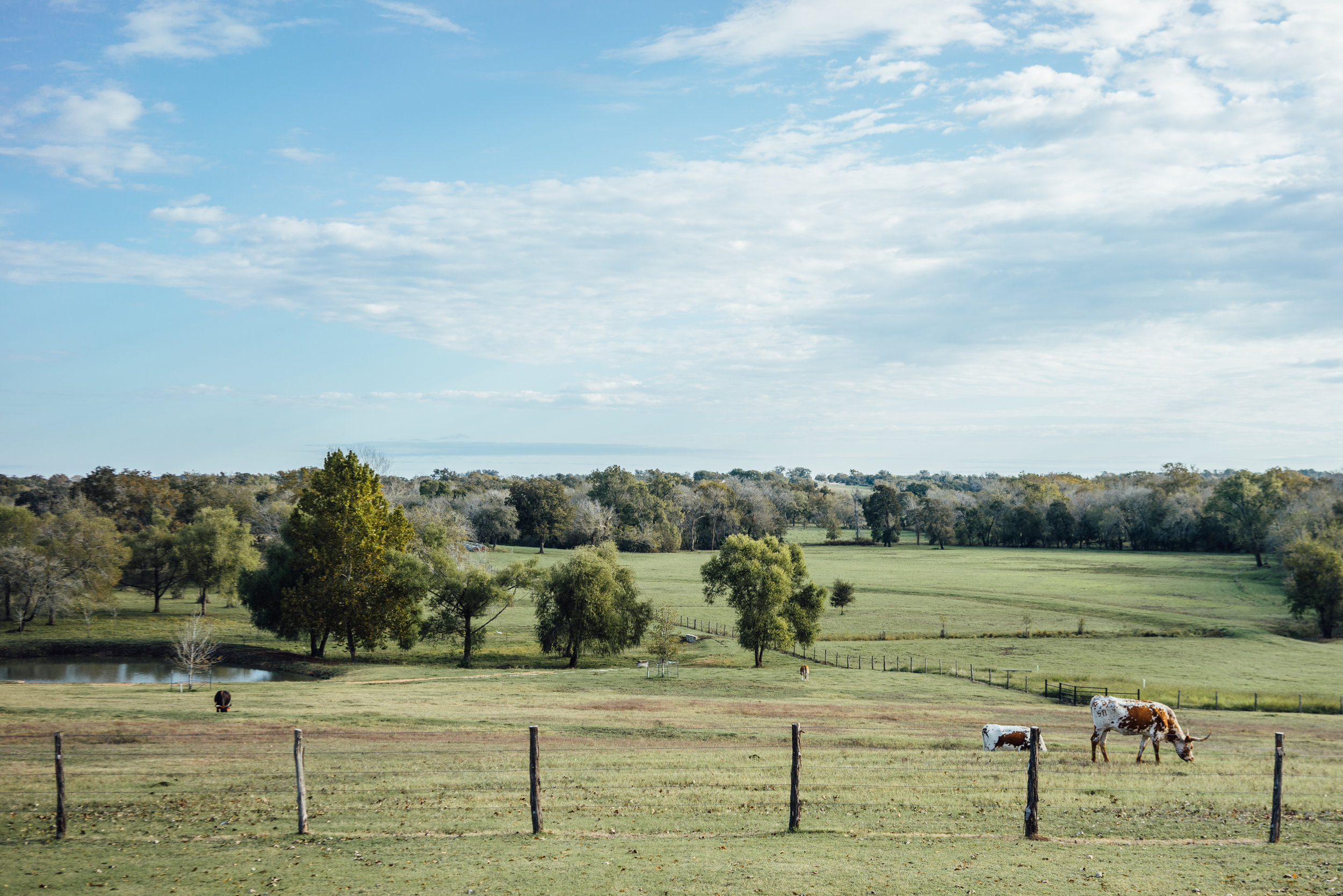 Accommodations at StarHill Farms — StarHill Farms