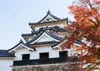 20 Best Japanese Castles You Should Visit