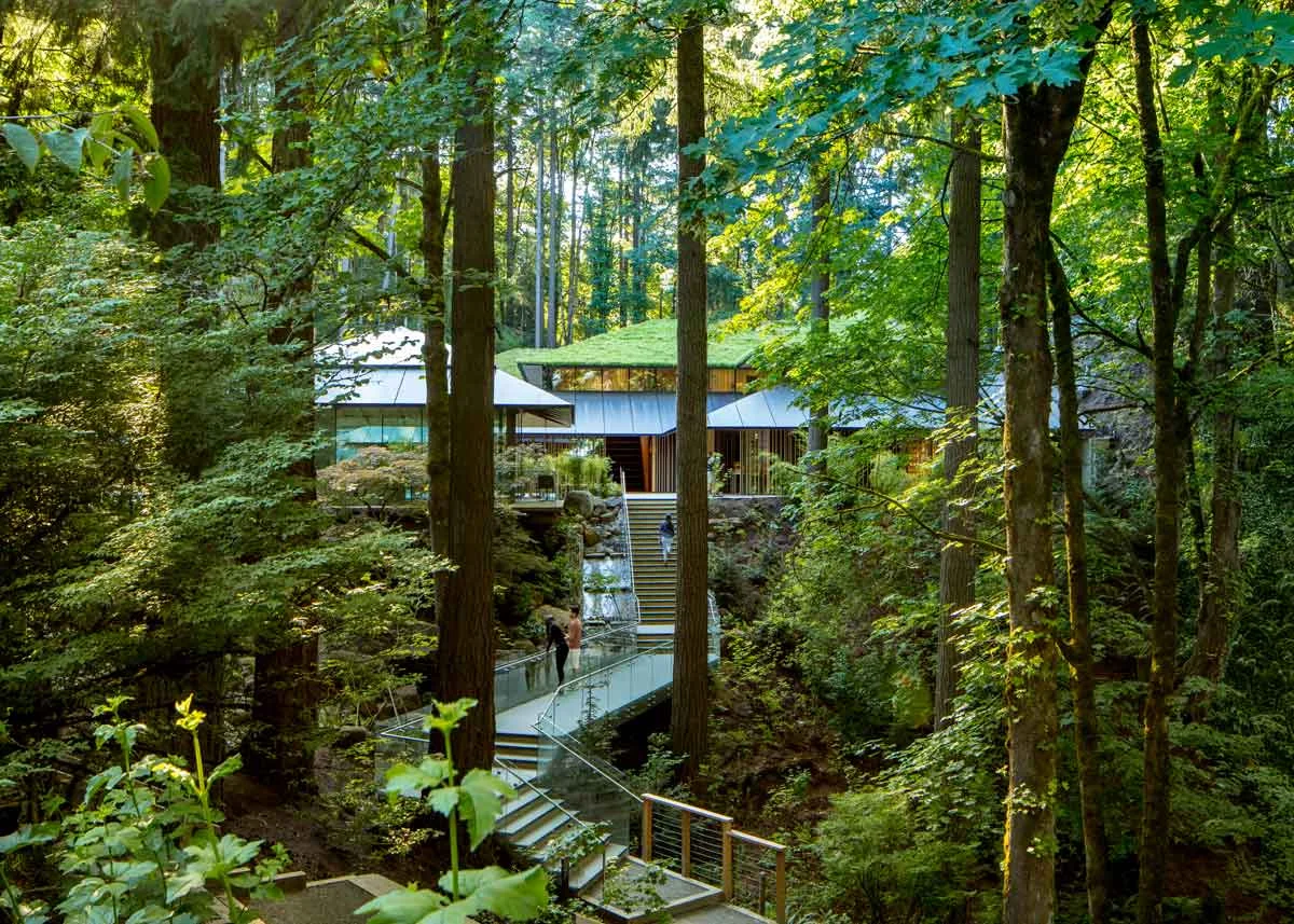 5 Great Reasons to Visit Portland Japanese Garden