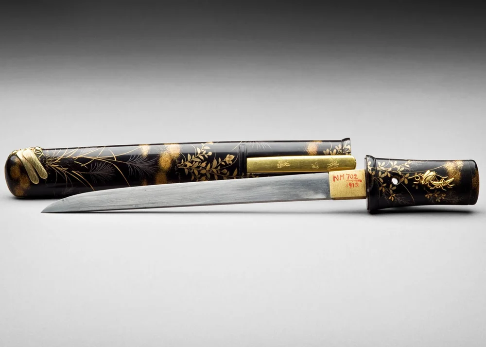 How to Select the Best Japanese Knives: All You Need to Know