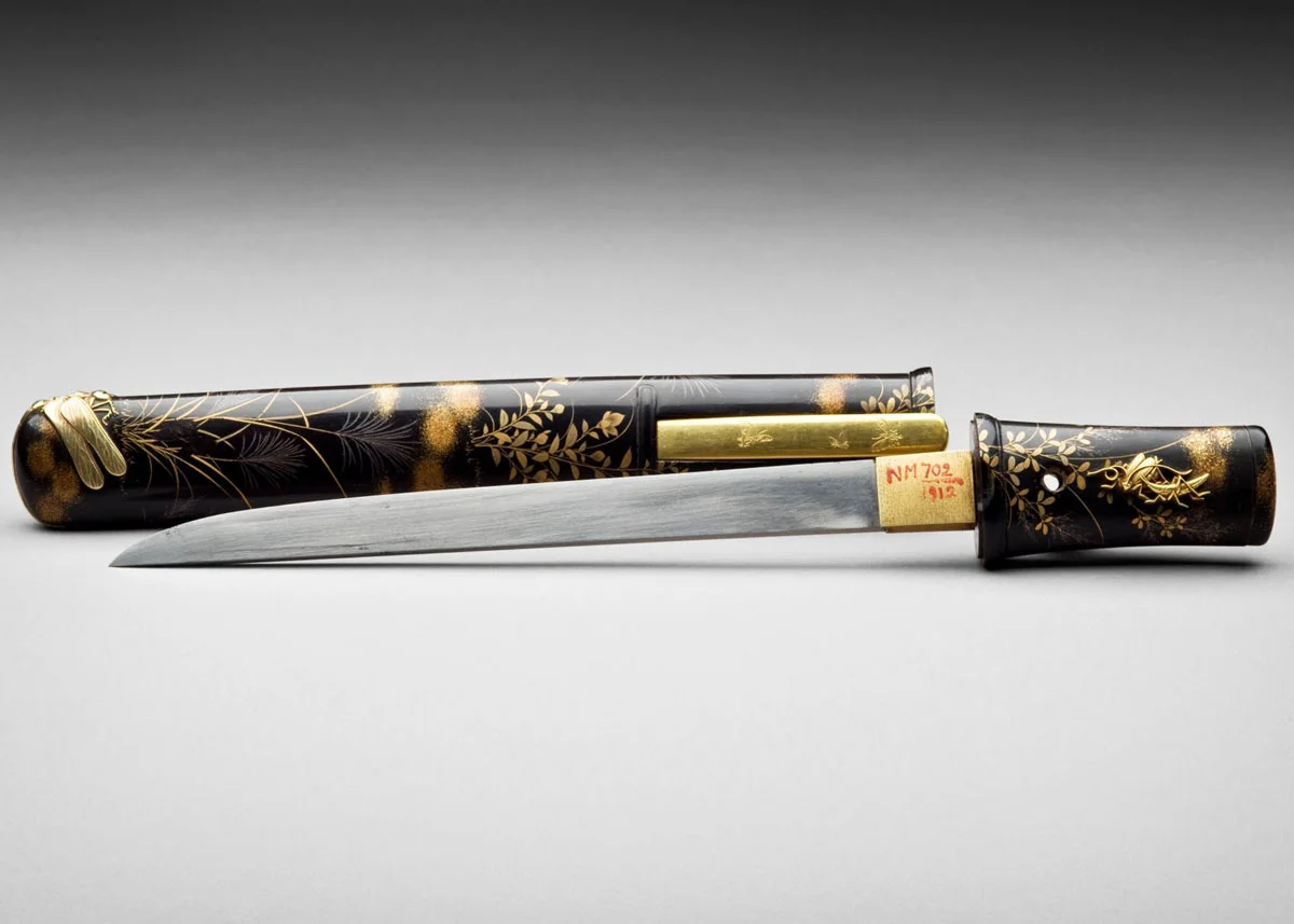 How to Select the Best Japanese Knives: All You Need to Know