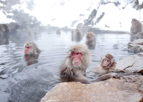 13 Best Things to Do in Hakuba When You’re Not Skiing