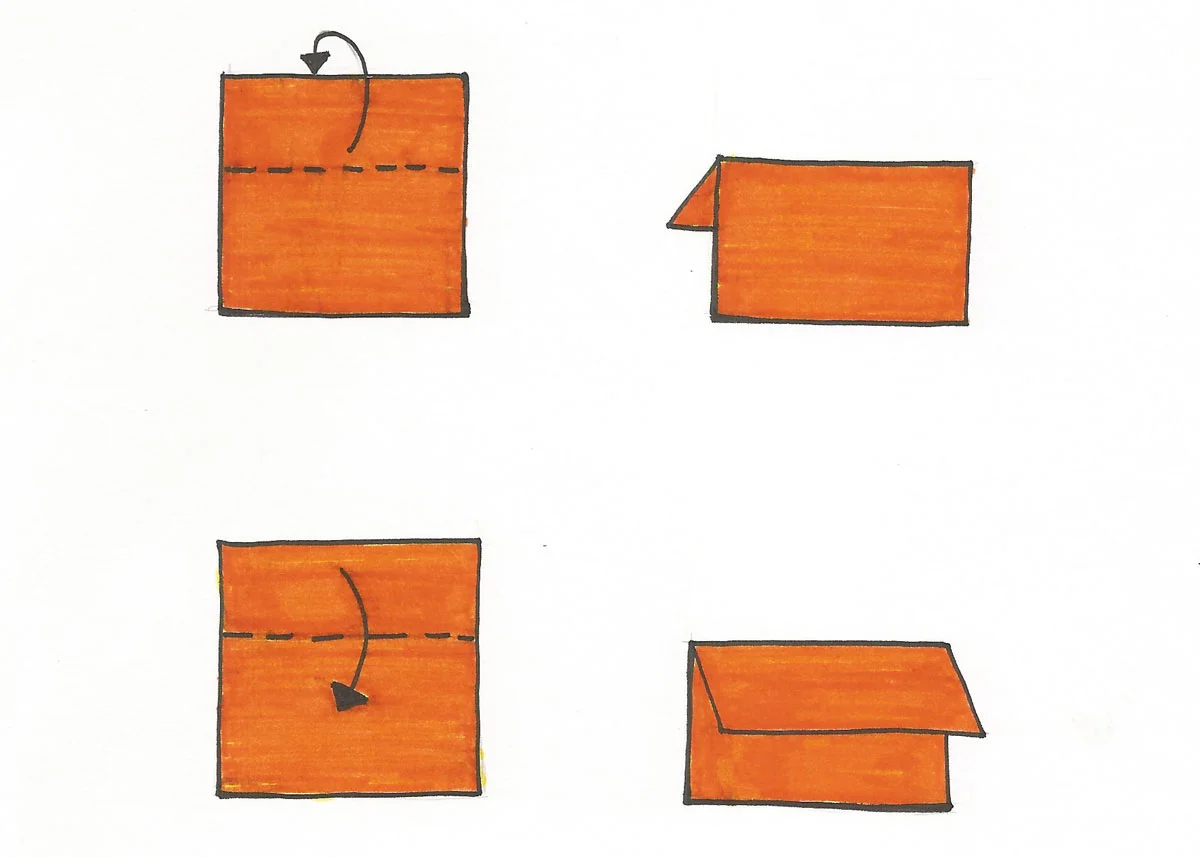 Origami 101: Helpful Tips & Easy Instructions for Beginners