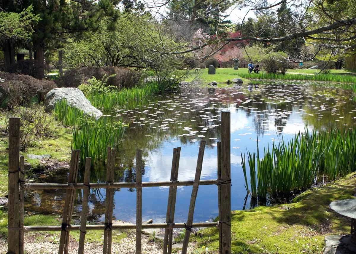 20 Best Japanese Museums, Exhibitions & Galleries in the USA