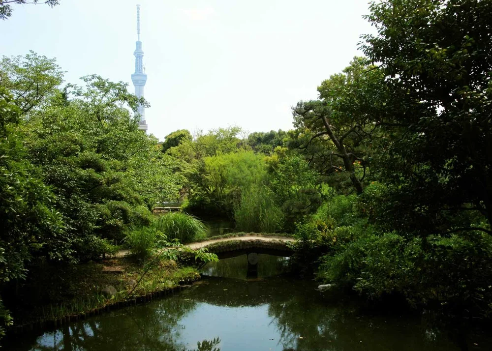 20 Best Japanese Gardens in Tokyo for Every Season
