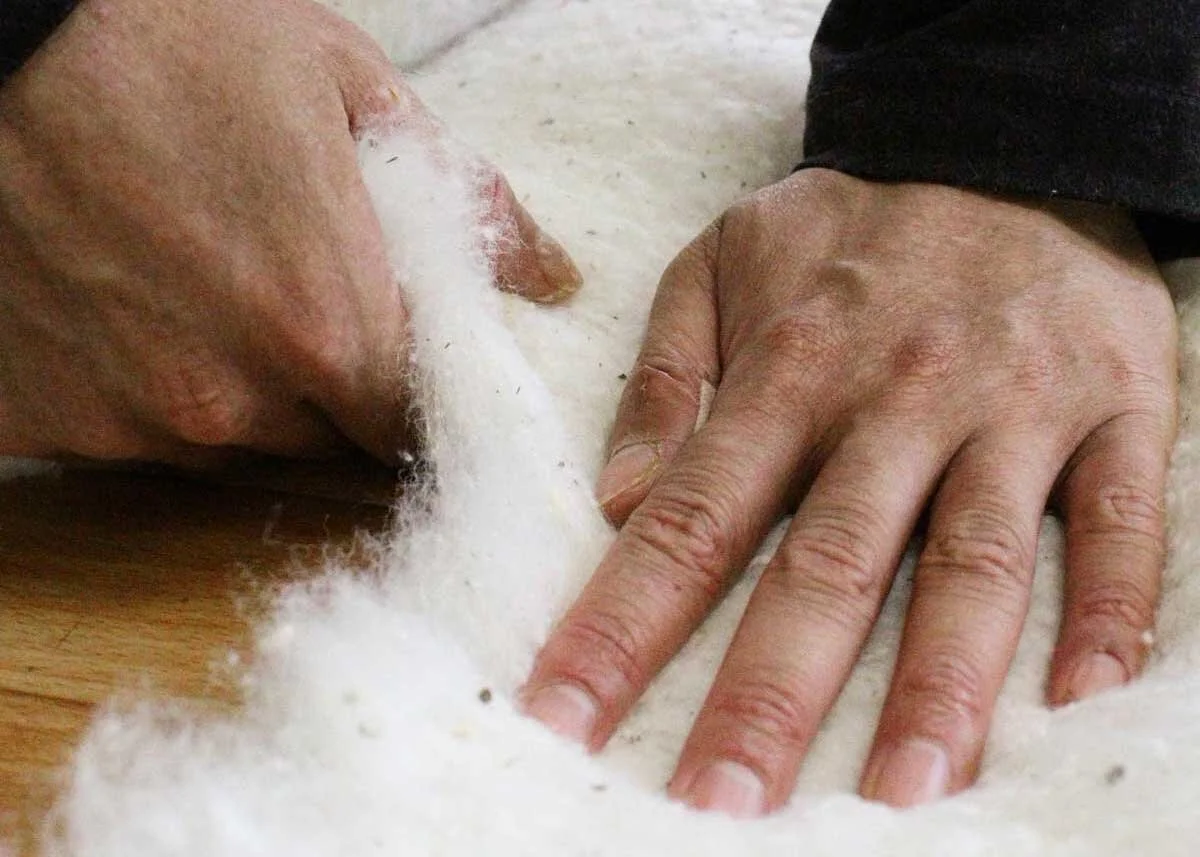 Zabuton: 20 Things to Know About Japanese Floor Cushions
