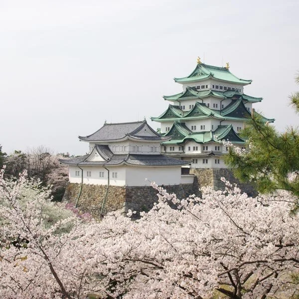 25 Best Things to Do in Nagoya