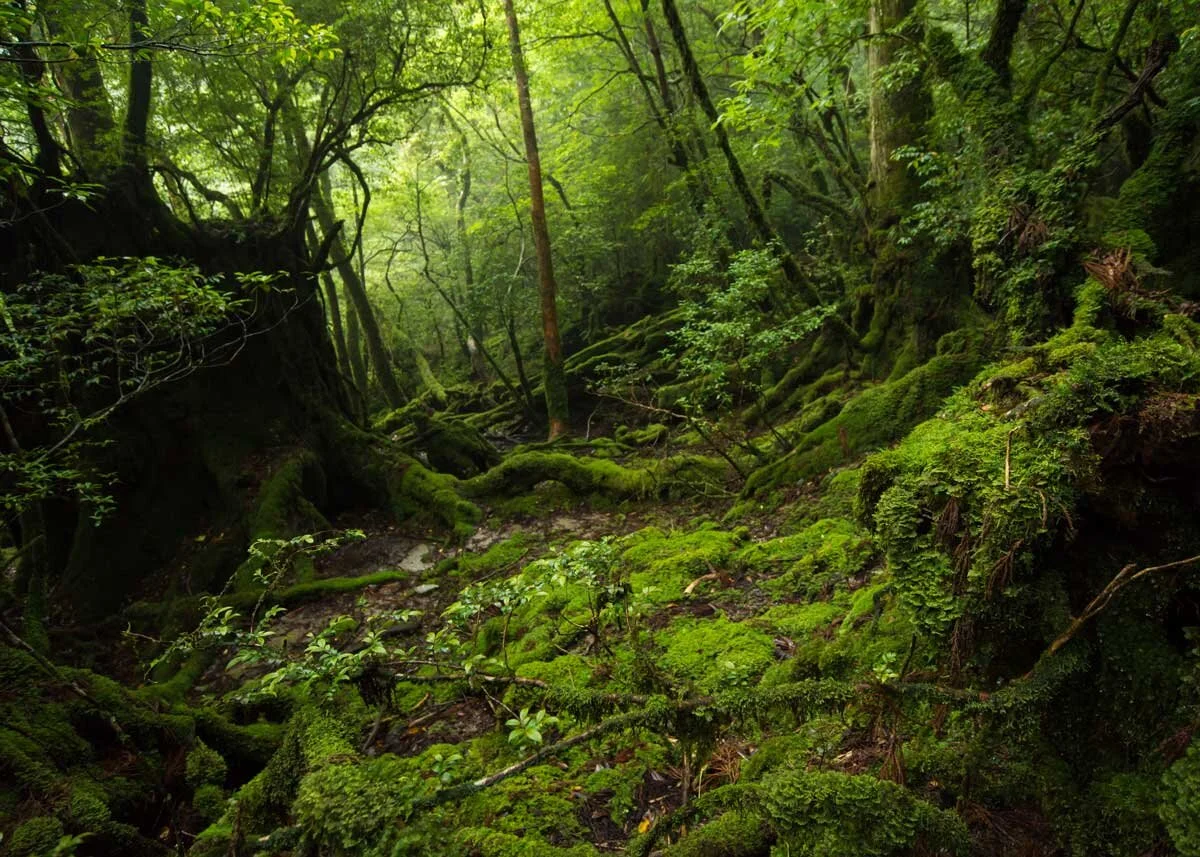 18 Best Places to Experience Ancient Japan
