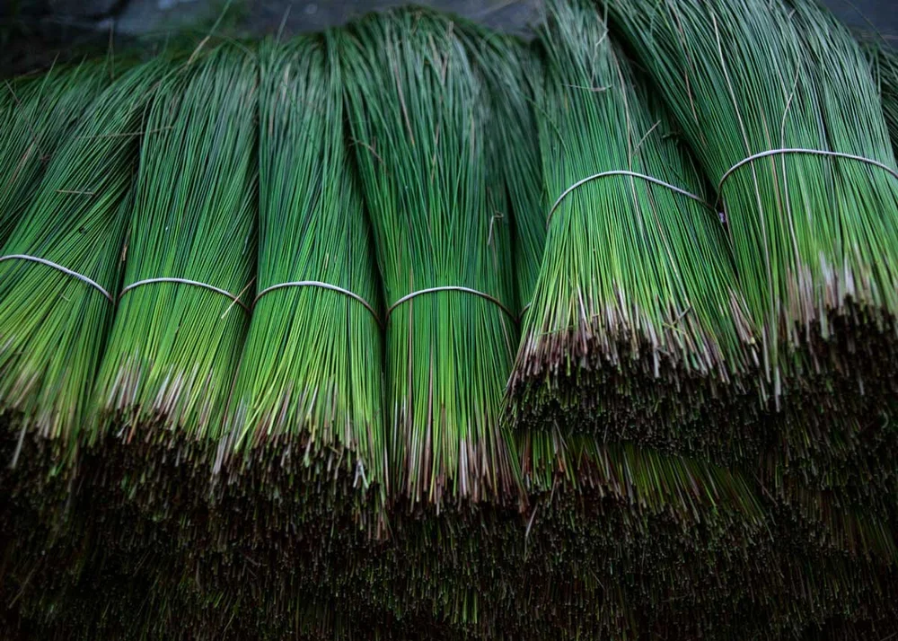 What are Tatami Mats? All You Need to Know