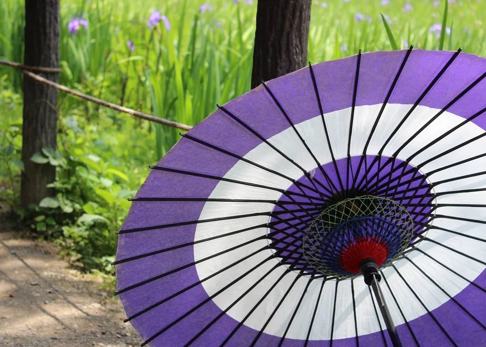 What are Wagasa? 7 Things to Know About Japanese Umbrellas