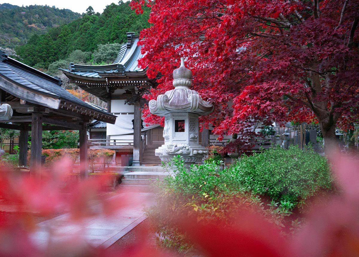 What Are Toro? Discovering Traditional Japanese Lanterns