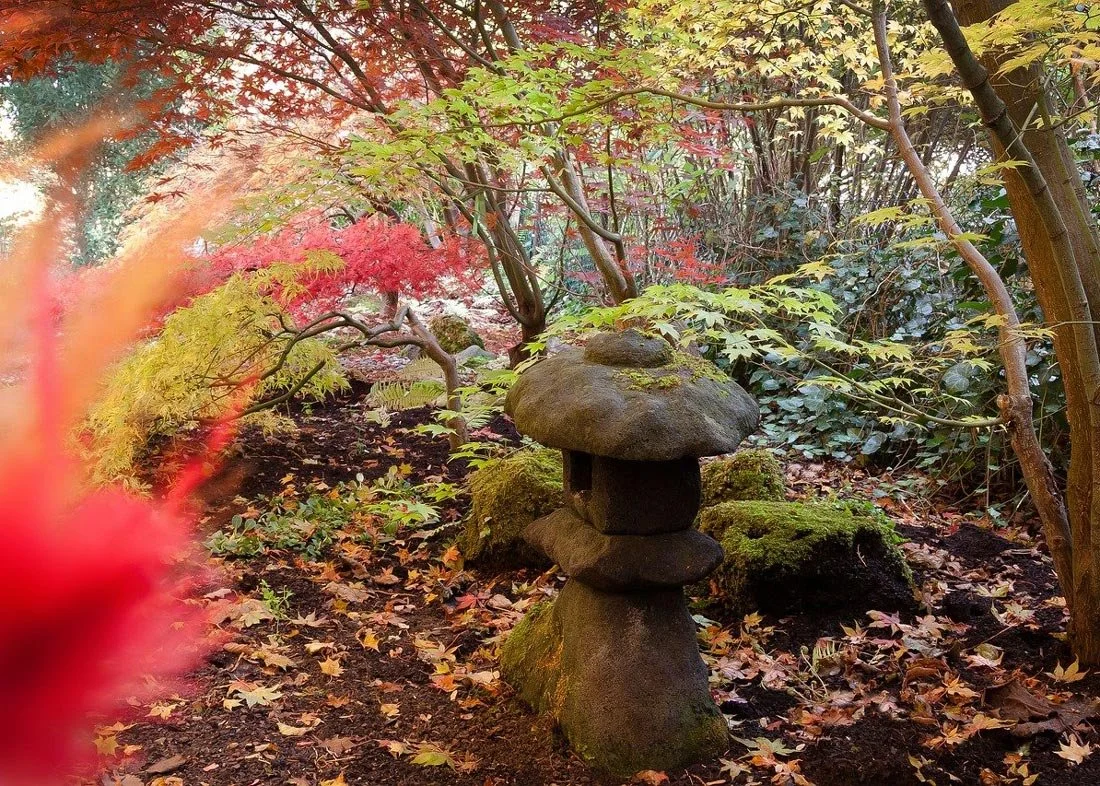 What Are Toro? Discovering Traditional Japanese Lanterns